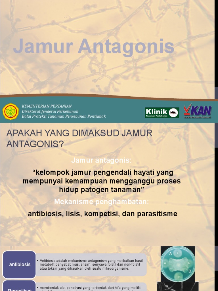 Jamur Antagonis | PDF