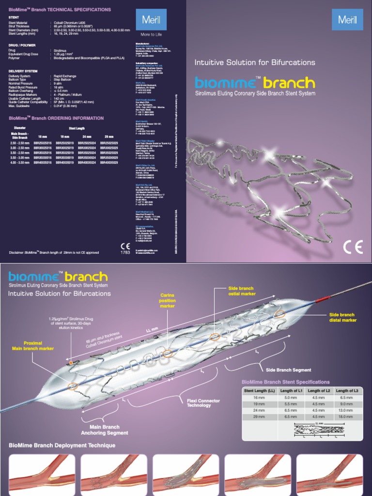 All About Biomime Branch - A Drug Eluting Stent Designed by Meril Life ...