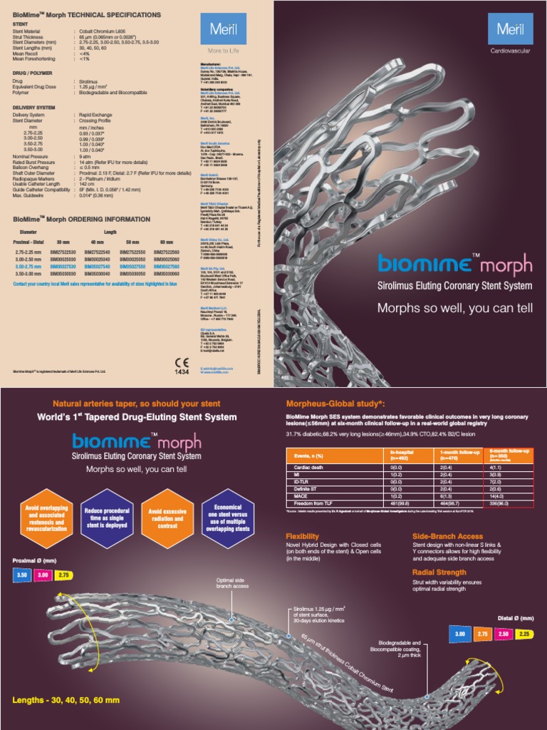 Find Biomime Morph - A Drug Eluting Stent Designed by Meril Life | PDF ...
