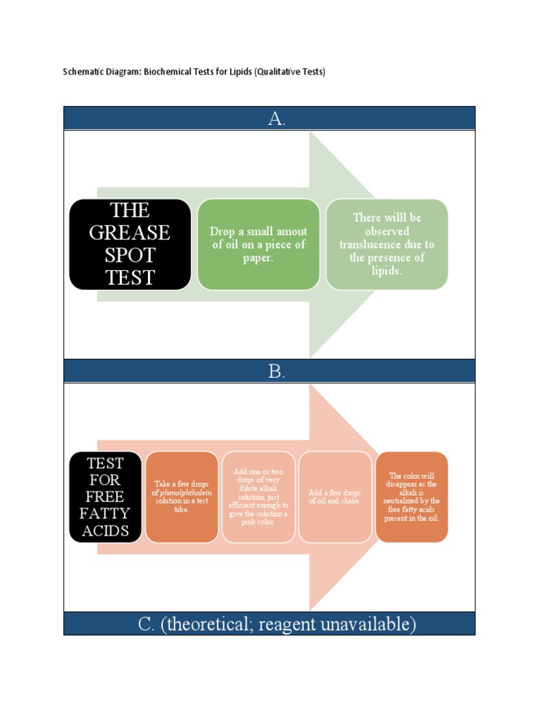 Schematic Diagram - Biochemical Tests For Lipids (Qualitative Tests ...