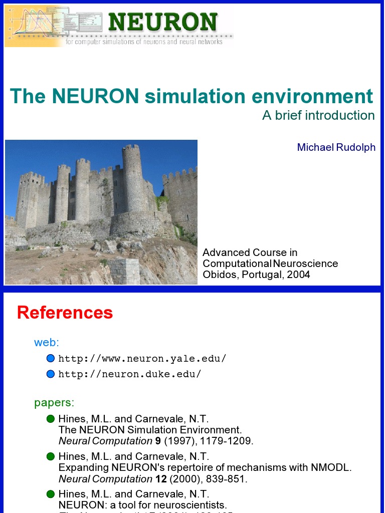 turorial | PDF | Synapse | Neuron