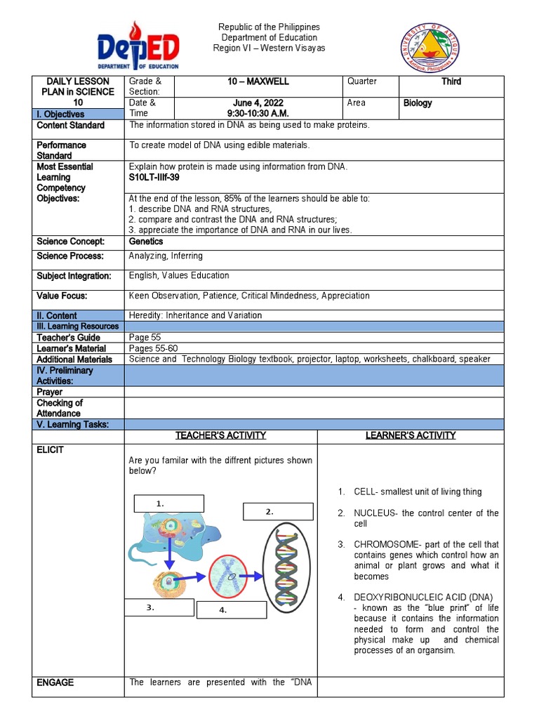 DNA RNA COT DLL New Normal | PDF | Rna | Dna