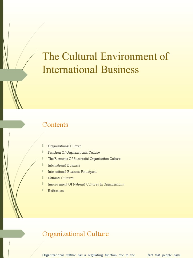 The Cultural Environment | PDF | Organizational Culture | Business