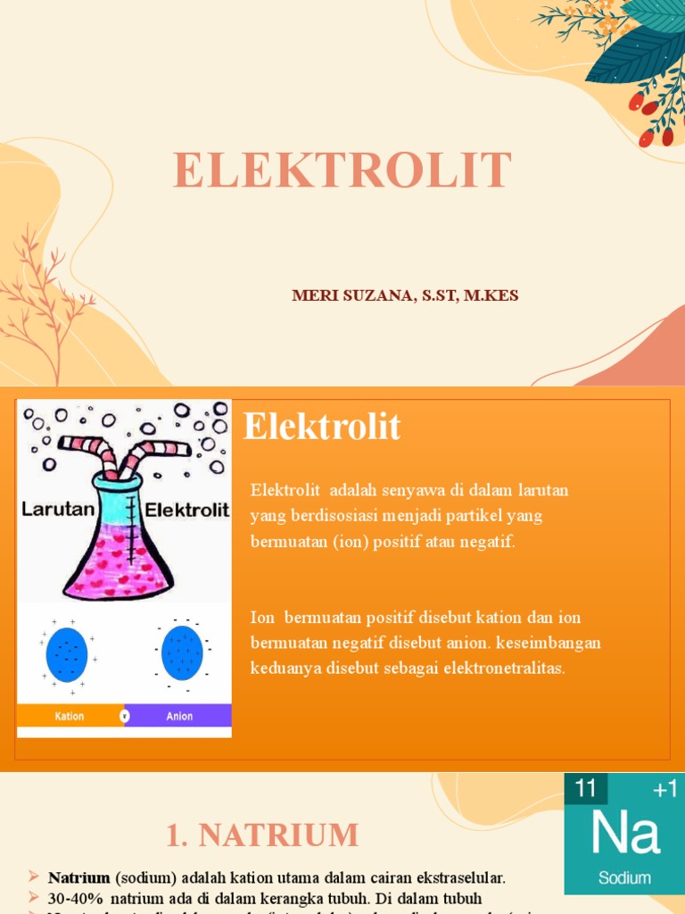ELEKTROLIT | PDF