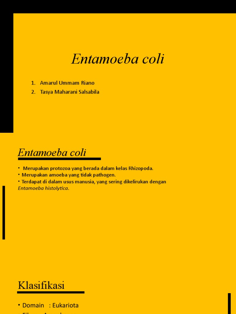 Morfologi dan Siklus Hidup Entamoeba coli | PDF | Sains & Matematika ...