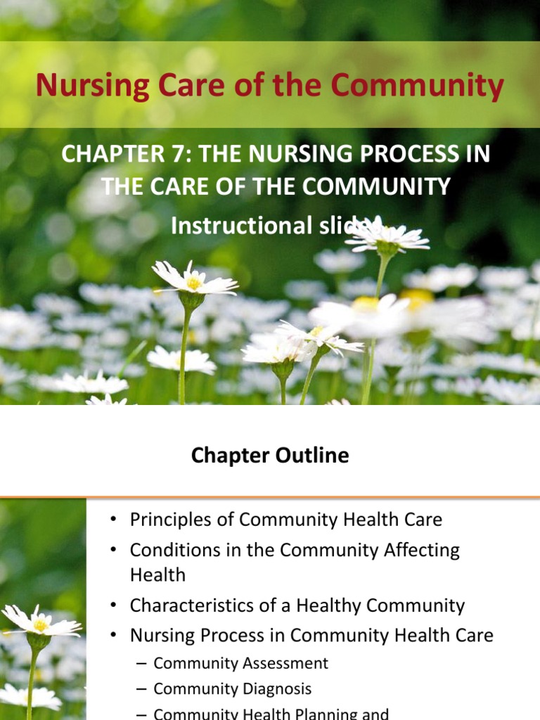 Community Health Nursing Process | PDF | Nursing | Community