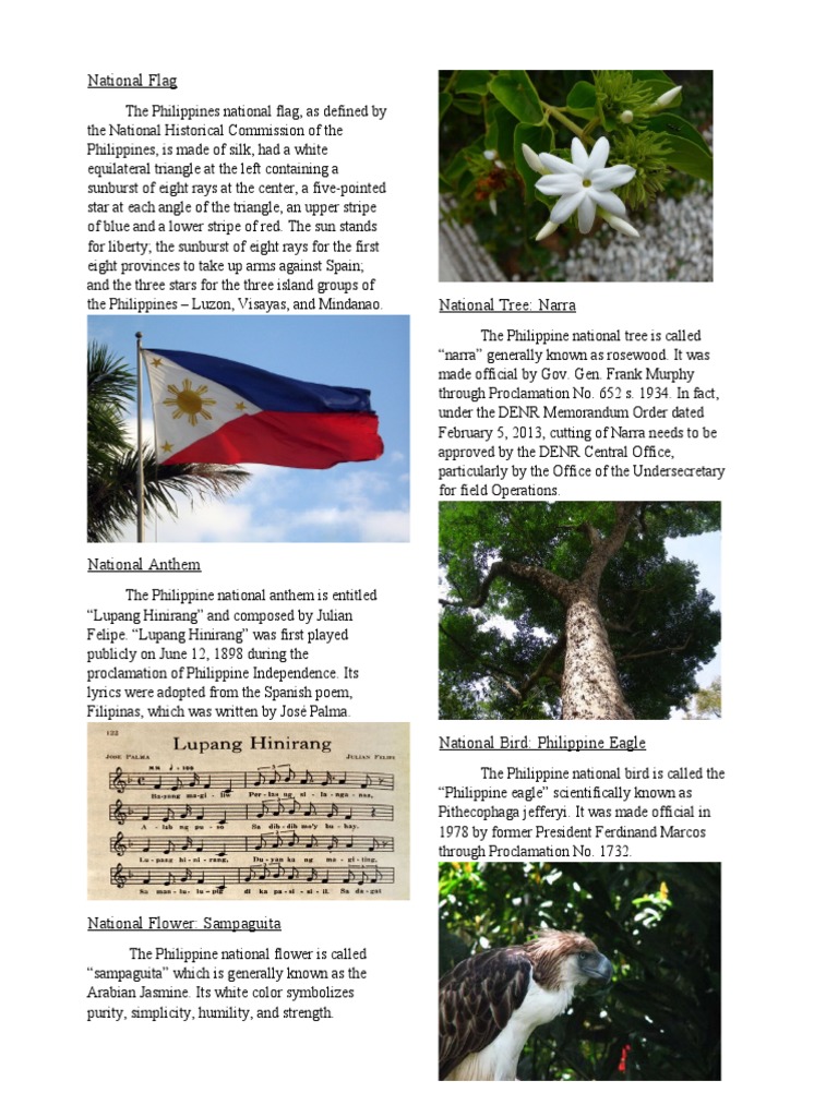 National Flag | PDF | Philippines