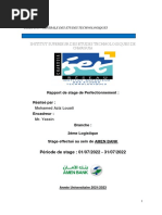 Rapport de Stage STB | PDF | Banques | Tunisie