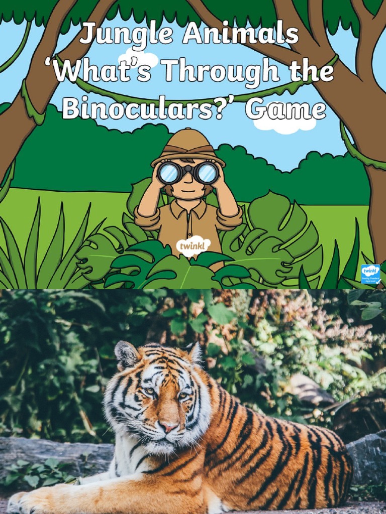 Jungle Animals | PDF