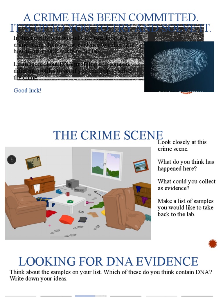 DNA Crime Scene Detective (1) | PDF | Dna Profiling | Crime Scene