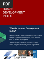 HDI Project Class12 | PDF