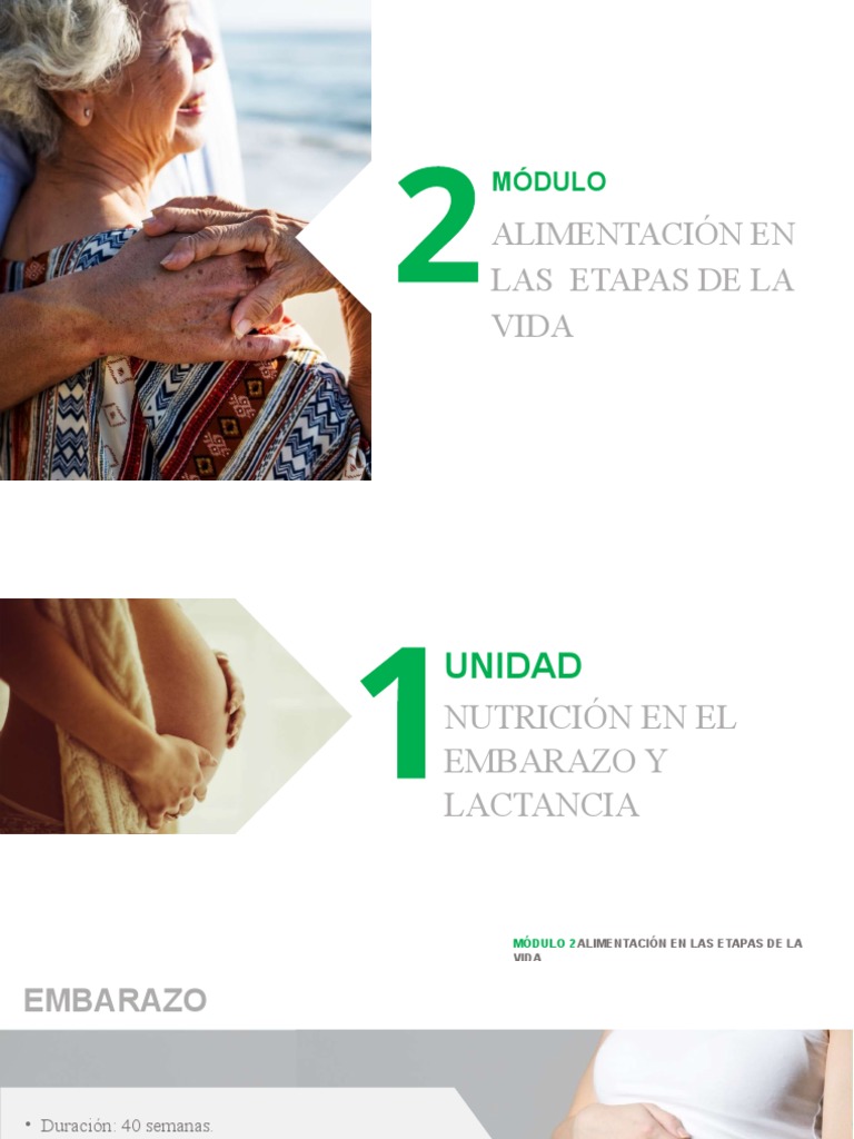 Modulo 2 - Unidad 1 (PDF) | PDF | El embarazo | Nutrición