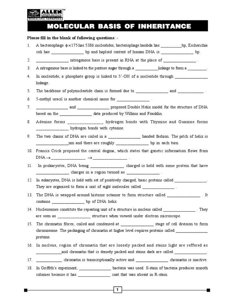 Molecular Basis of Inheritance | PDF | Translation (Biology) | Gene