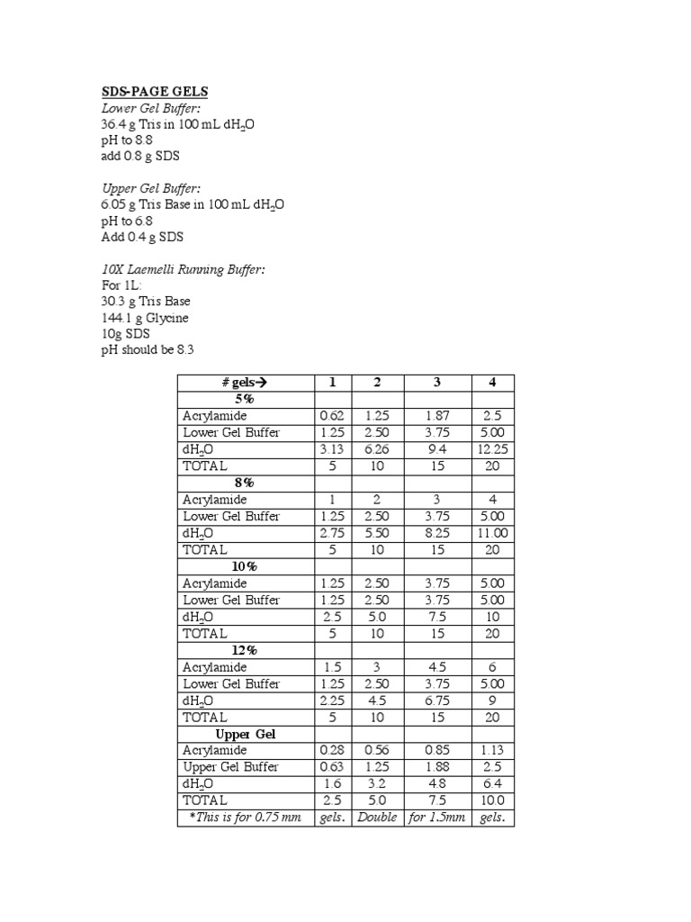 SDS-PAGE Gel Preparation Protocol | PDF | Gel Electrophoresis | Chemistry
