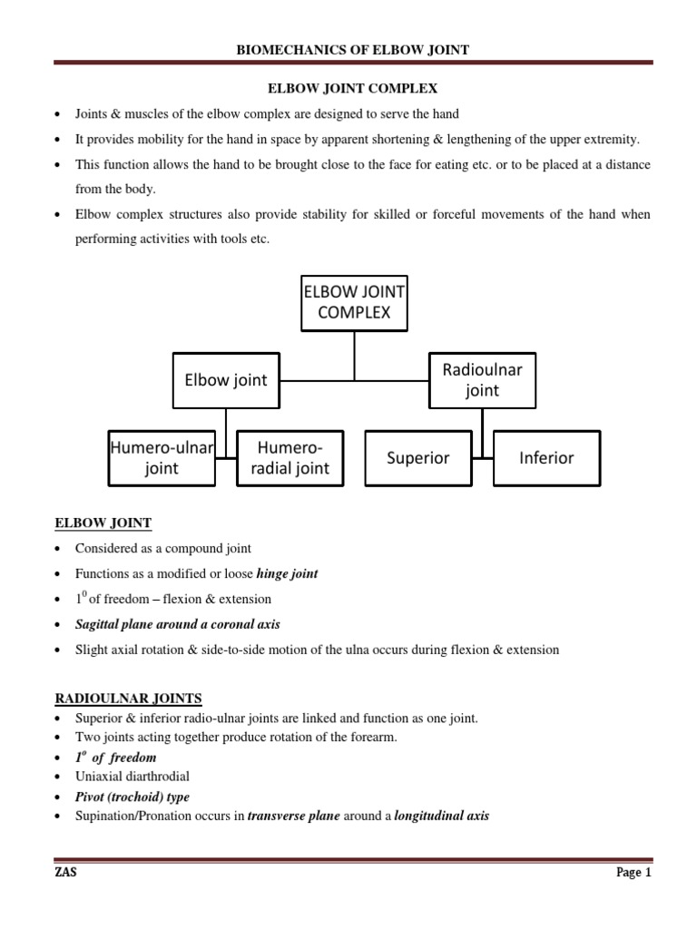 Elbow Biomechanics 2019 | PDF | Elbow | Anatomical Terms Of Motion
