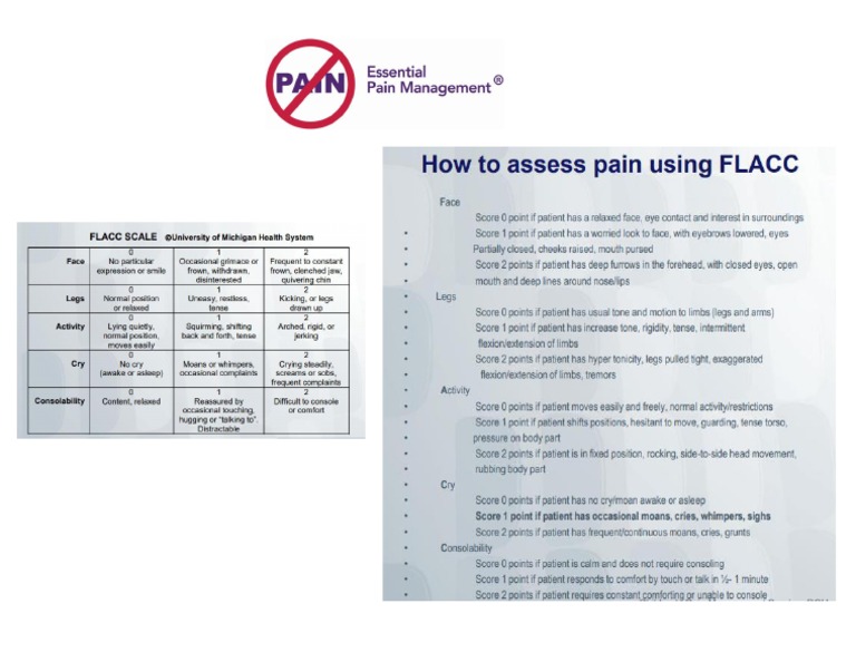 FLACC Scale | PDF