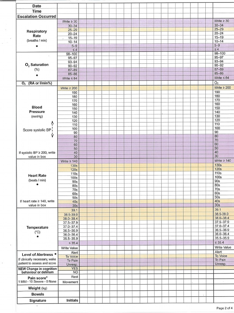 Pain Assessment Chart | PDF