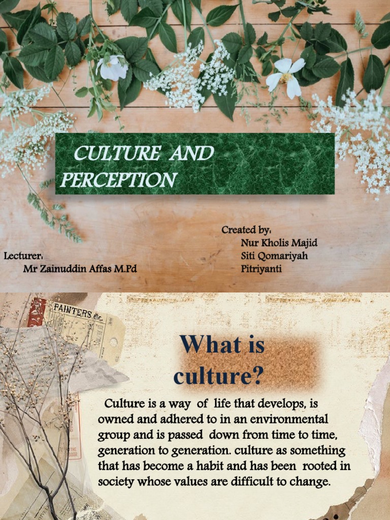 Culture's Impact on Perception | PDF