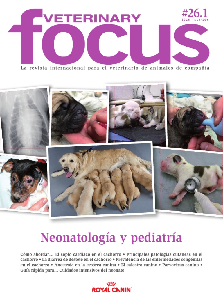 Veterinary Focus 2016 261es | PDF | Corazón | Insuficiencia cardíaca