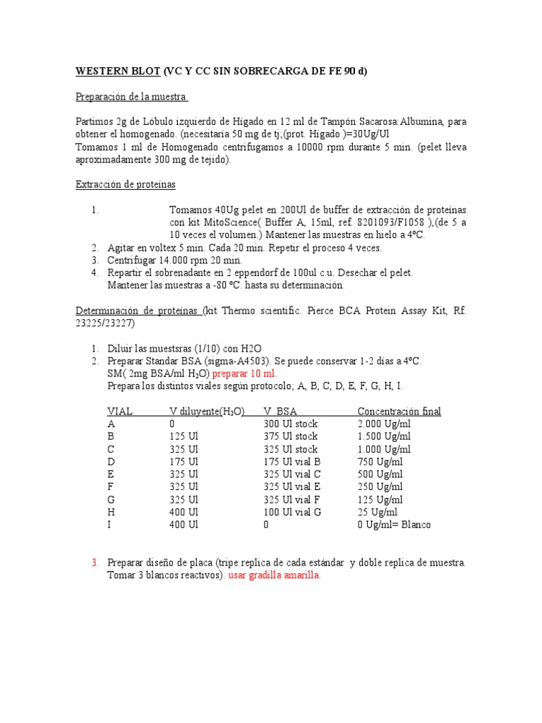 Western Blot Protocolo | PDF | Química | Ciencias fisicas