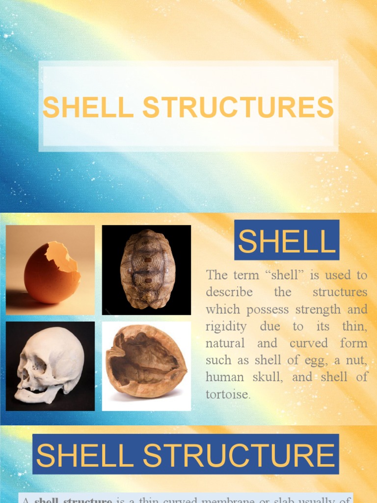 Shell Structure Cargo Fabian Lising Ramos Hannah | PDF | Vault ...