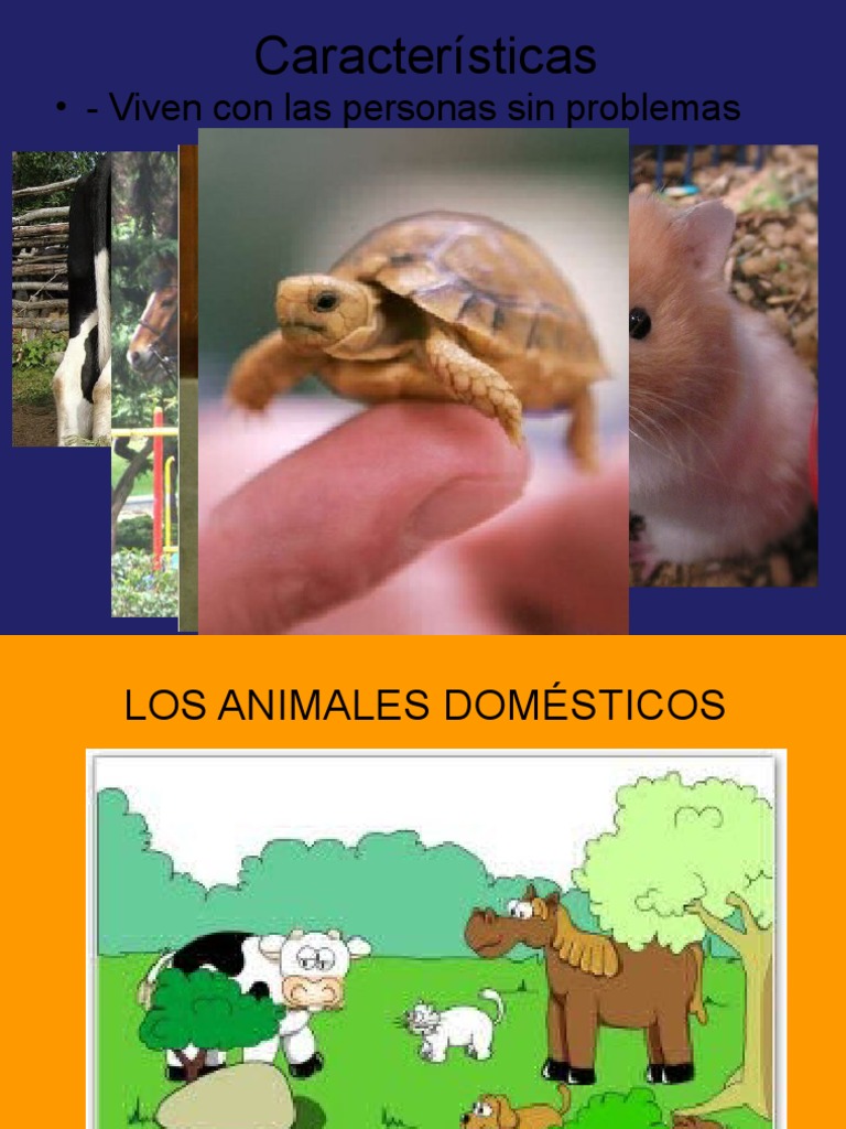 Los animales domésticos que viven en casa y en la granja | PDF