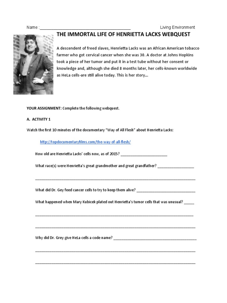 Henrietta Lacks Web Quest Bio 2015 | PDF | He La | Diseases And Disorders