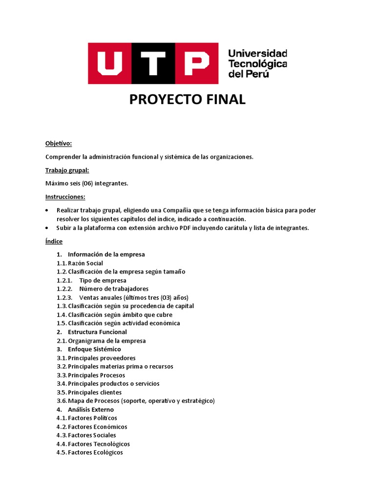 Administración y Organización de Empresas - PROYECTO FINAL | PDF | Negocios | Informática