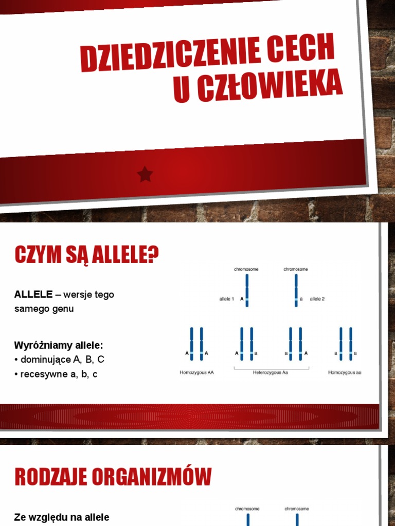 1 4. Dziedziczenie Cech U Czlowieka | PDF