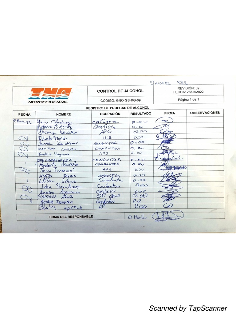 Formato Alcohol | PDF