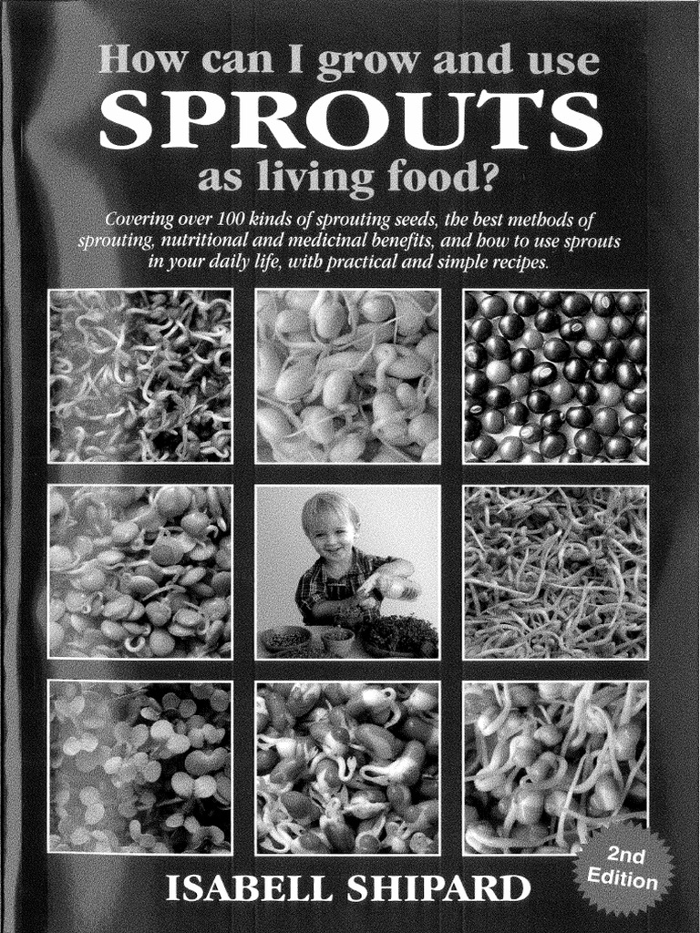 How I Can Grow and Use Sprouts - Isabell Shipard | PDF | Foods | Cost ...