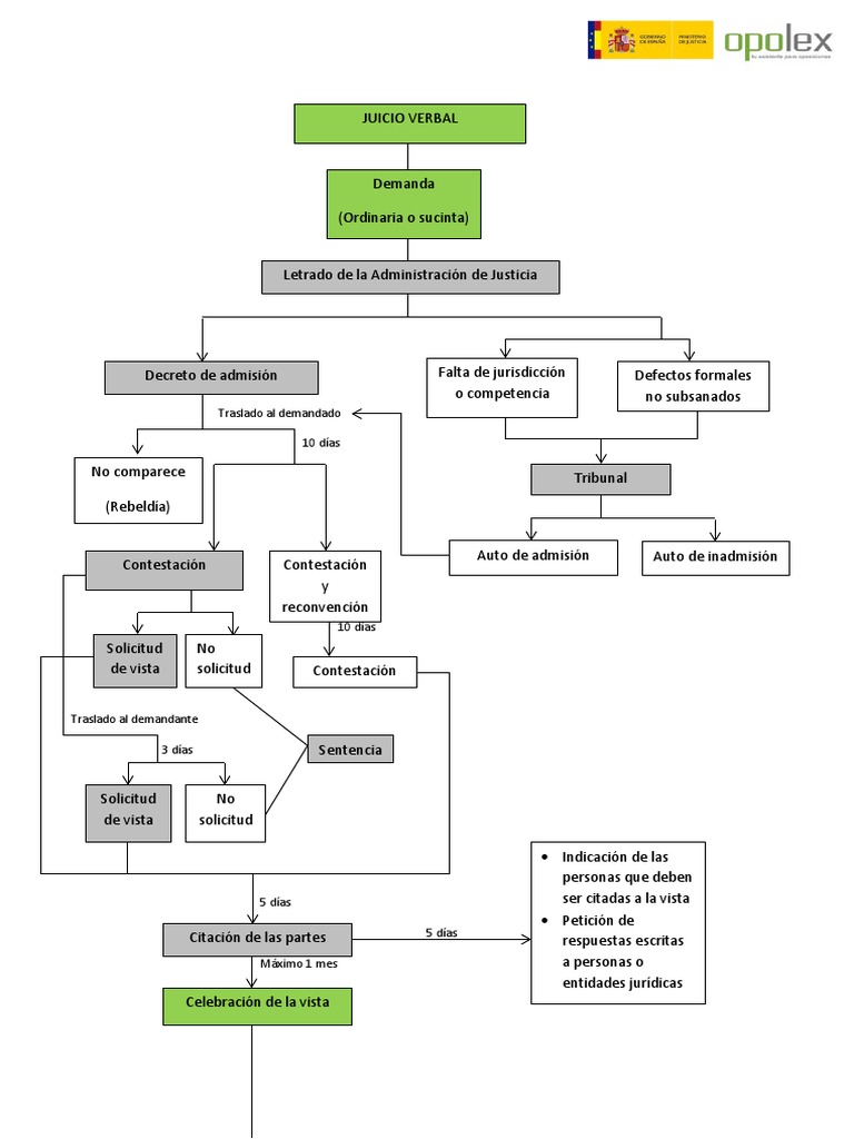 Esquema Juicio Verbal | PDF | Demanda judicial | Sentencia (ley)