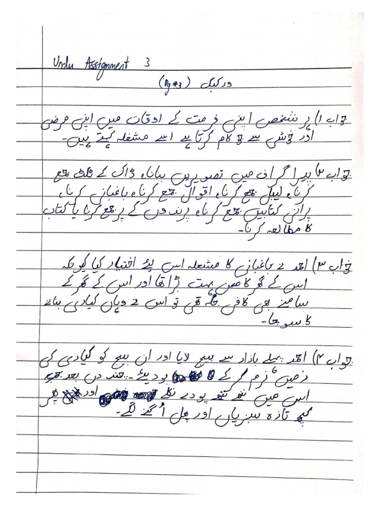 Urdu Assignment 3 | PDF