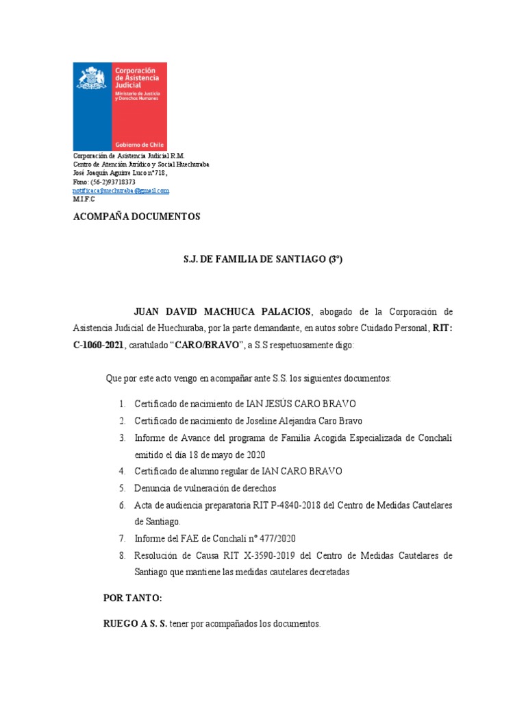 Acompaña Documentos | PDF | Derecho