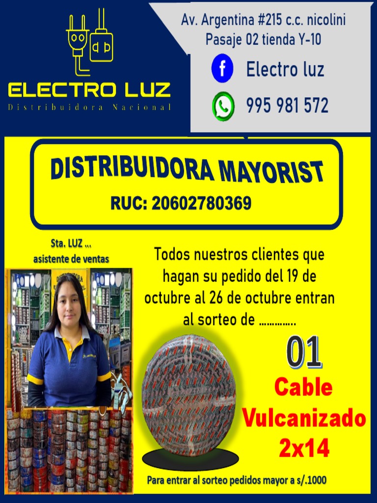 Catalogo Electro Luz 2022 | PDF | Bienes manufacturados | Energia electrica