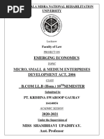 MSME Declaration Format - Revised | PDF | Small And Medium Sized ...