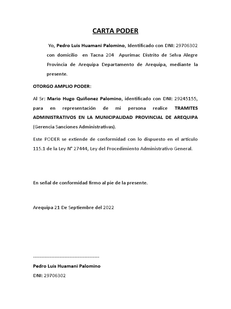 5.formato Carta Poder Simple | PDF