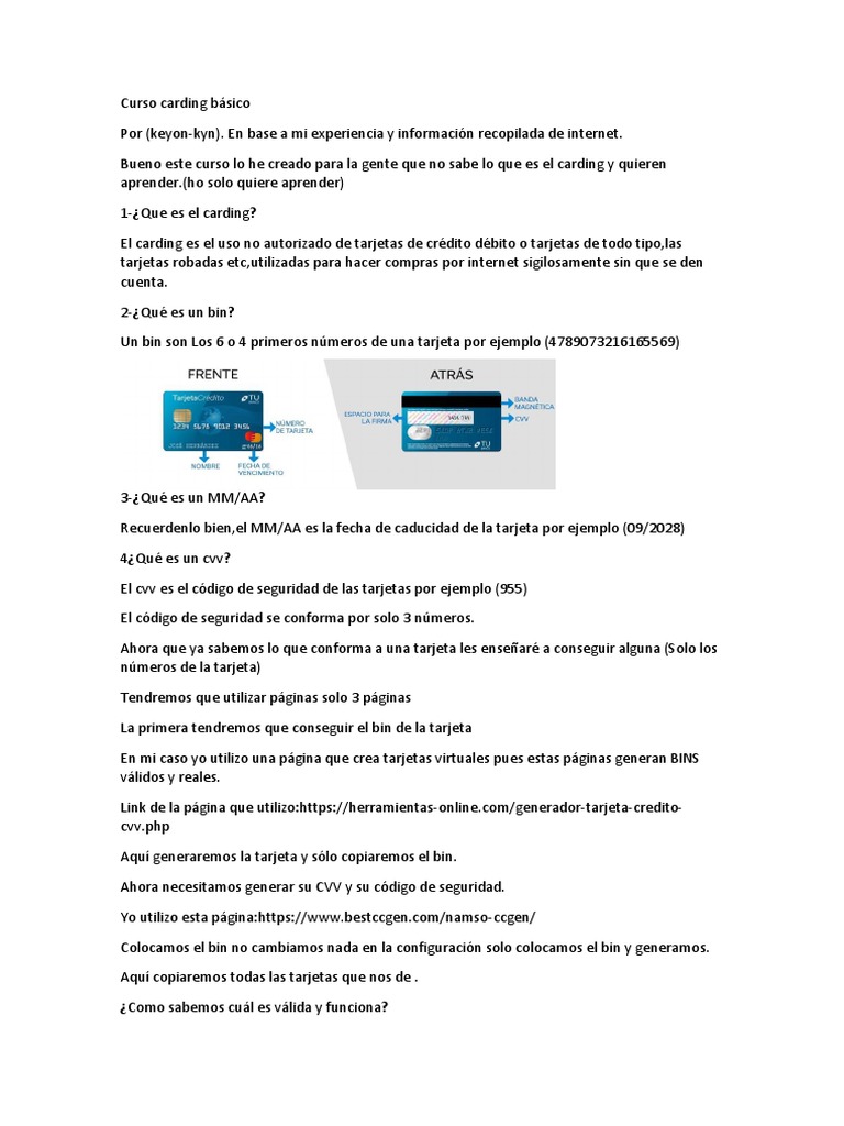 Guia Carding Basica | PDF | Informática