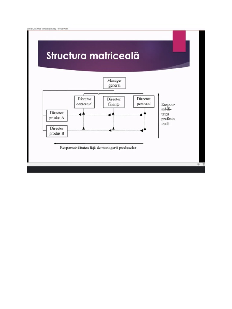 Structura Matriceala | PDF