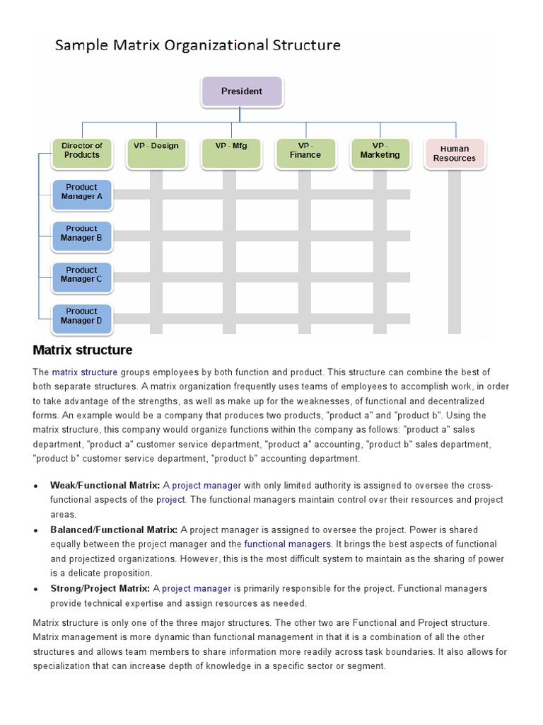 Matrix Structure Explained | PDF | Organizational Structure | Leadership