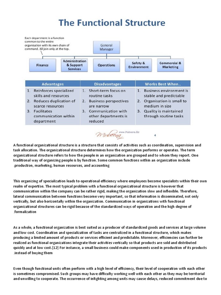 A Functional Organizational Structure | PDF