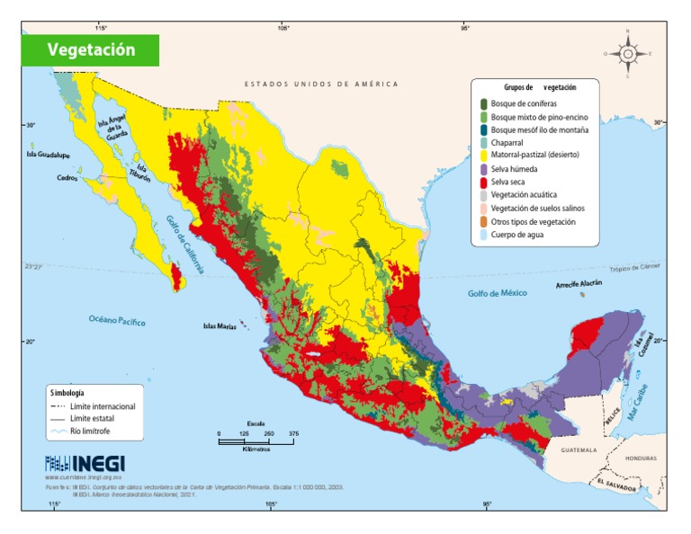 Mapa de Vegetacion MX | PDF | Conservación del medio ambiente | Geografía