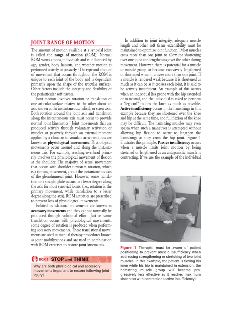 Anatomy Angles | Download Free PDF | Anatomical Terms Of Motion | Axon