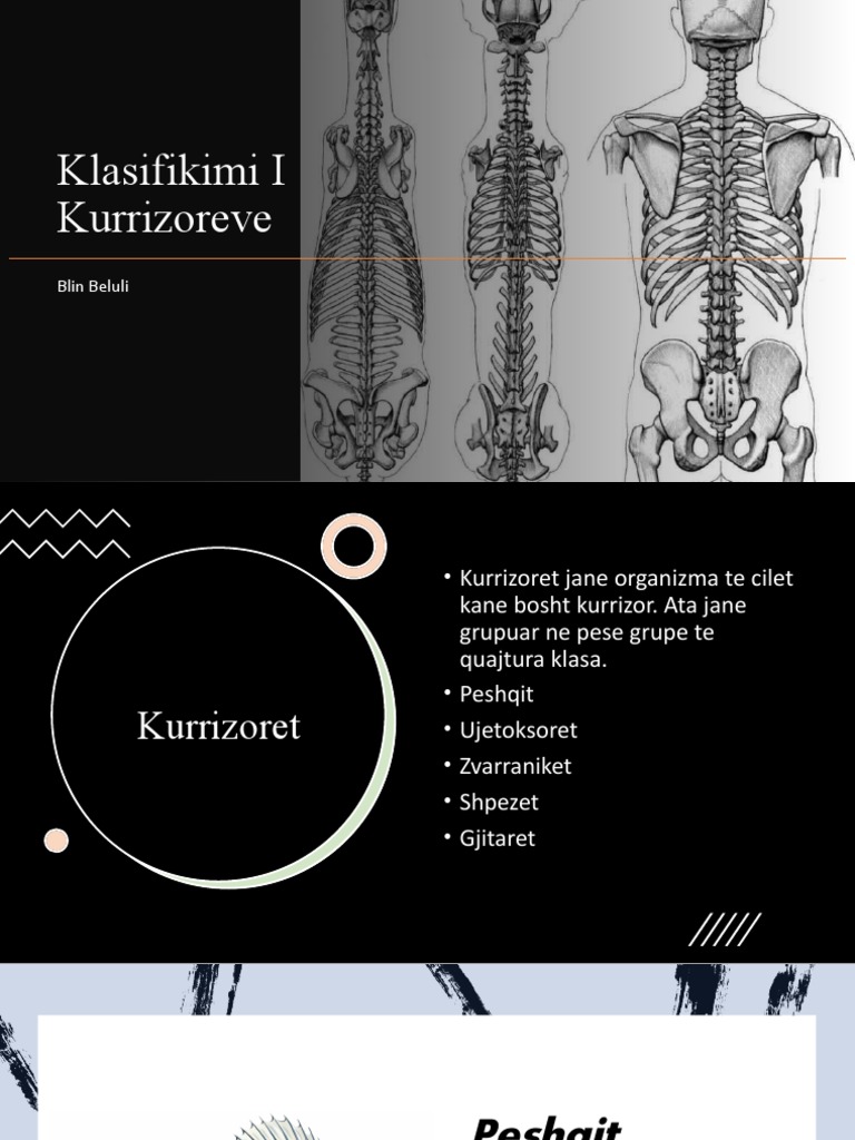 Klasifikimi I Kurrizoreve | PDF