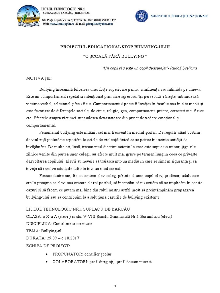 Proiect Bullying Ok | PDF