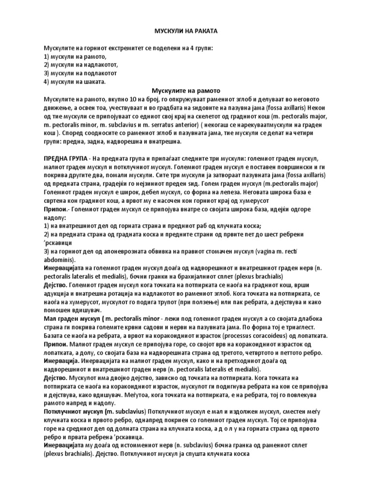 Muskuli Na Raka | PDF