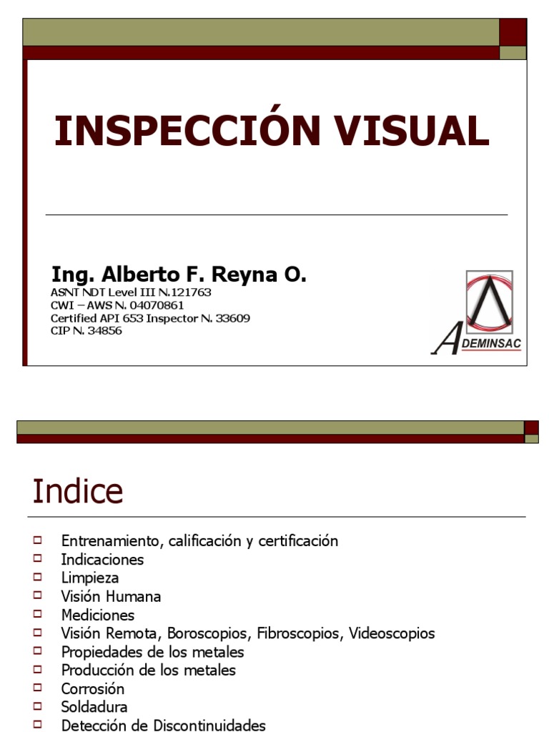 Inspeccion Visual 09 | PDF | Ojo humano | Color