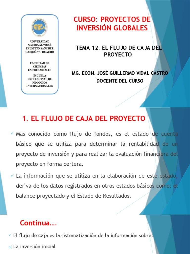 Tema 12 - Los Flujos de Caja Del Proyecto | PDF | Flujo de efectivo | Inversiones