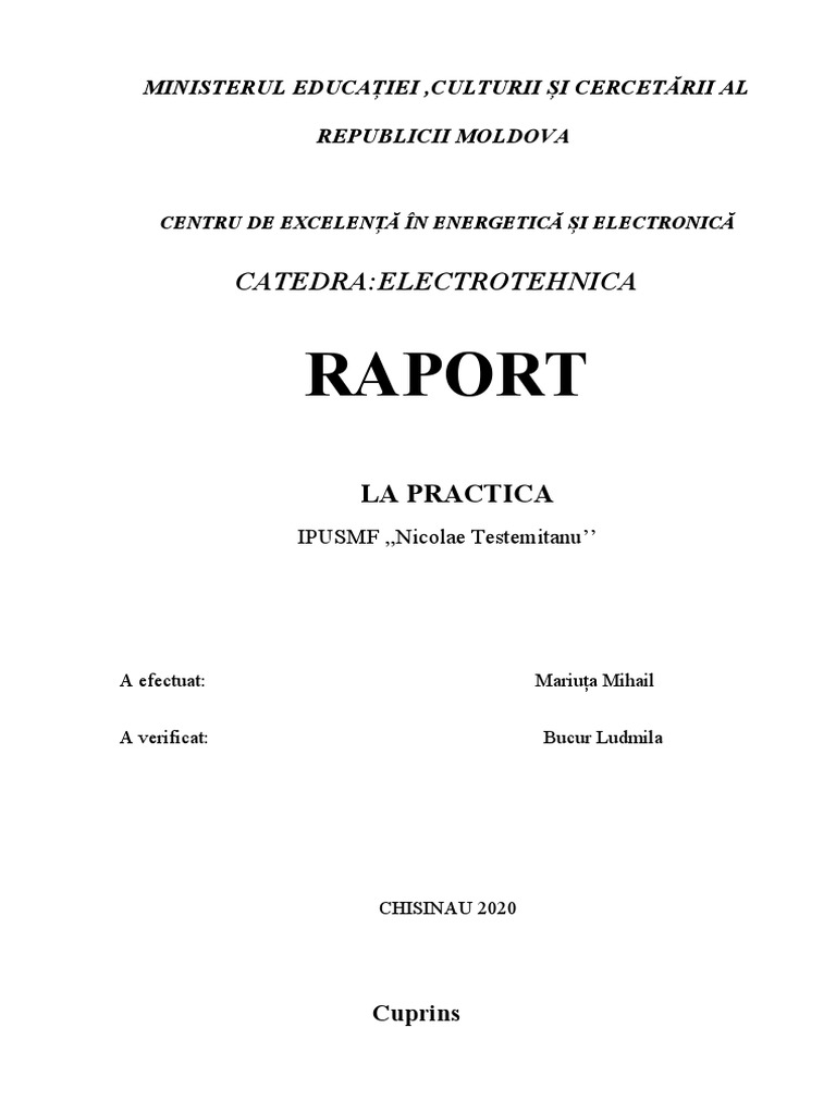 Raport Practica | PDF