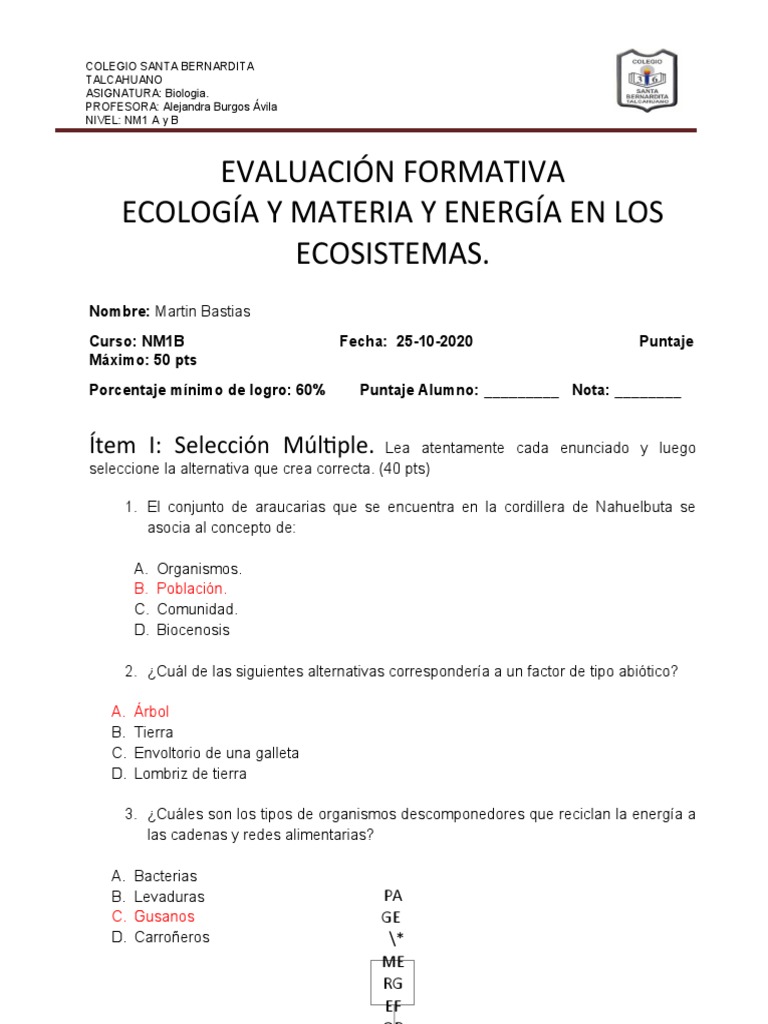 Flujo de Materia y Energía en Ecosistemas | PDF | Red alimentaria ...
